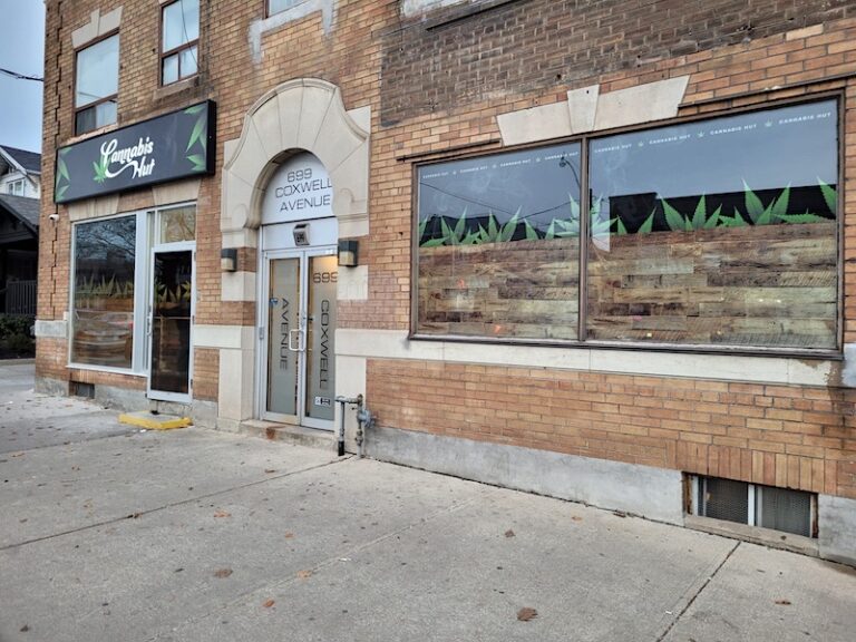 Illuminated Fascia Sign and Window Graphics for Cannabis Hut by 6ix Signs